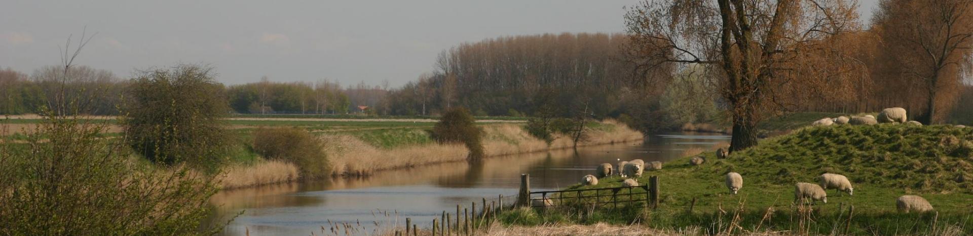 Home - Gemeente Assenede